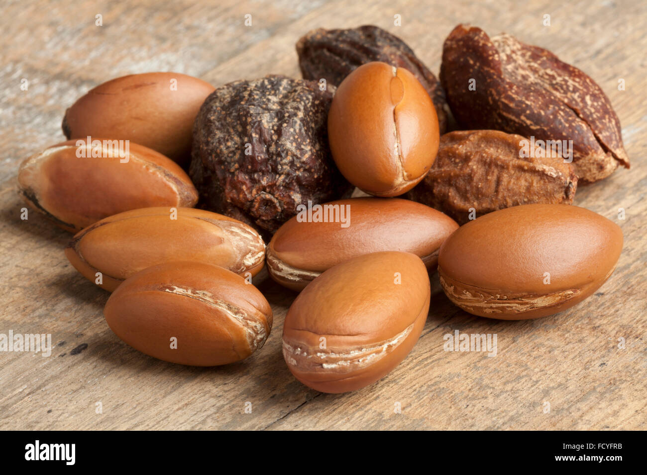 Whole moroccan argan nuts Stock Photo - Alamy