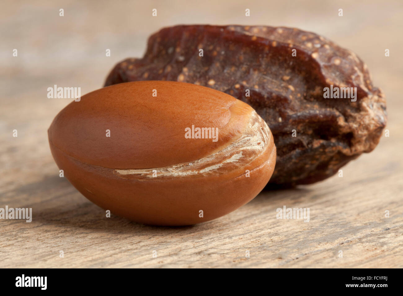 Whole moroccan argan nuts Stock Photo - Alamy