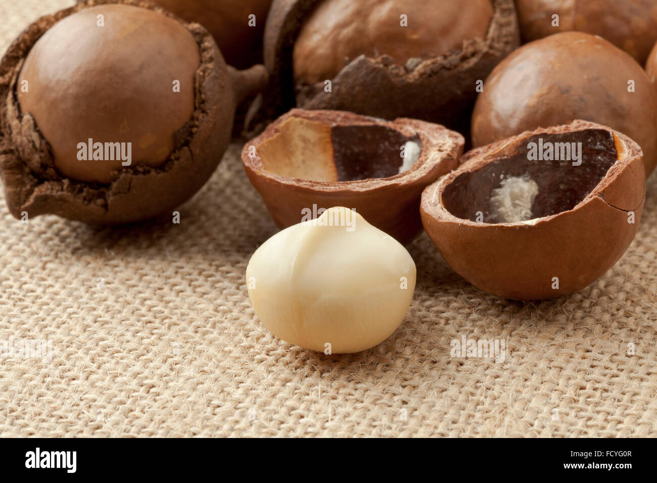 Nutshells hi-res stock photography and images - Alamy