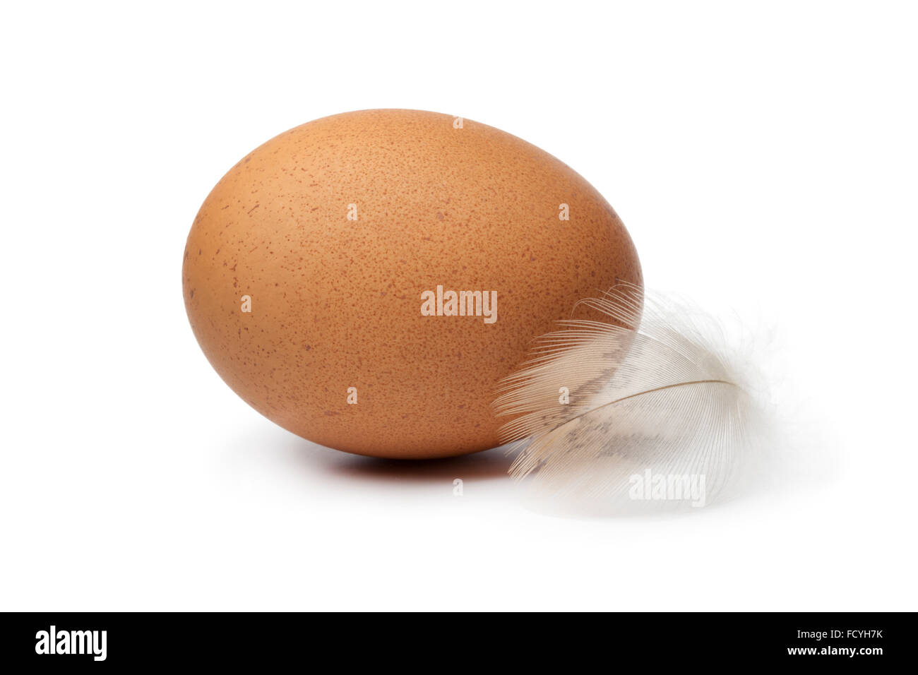 White feather on egg hi-res stock photography and images - Alamy