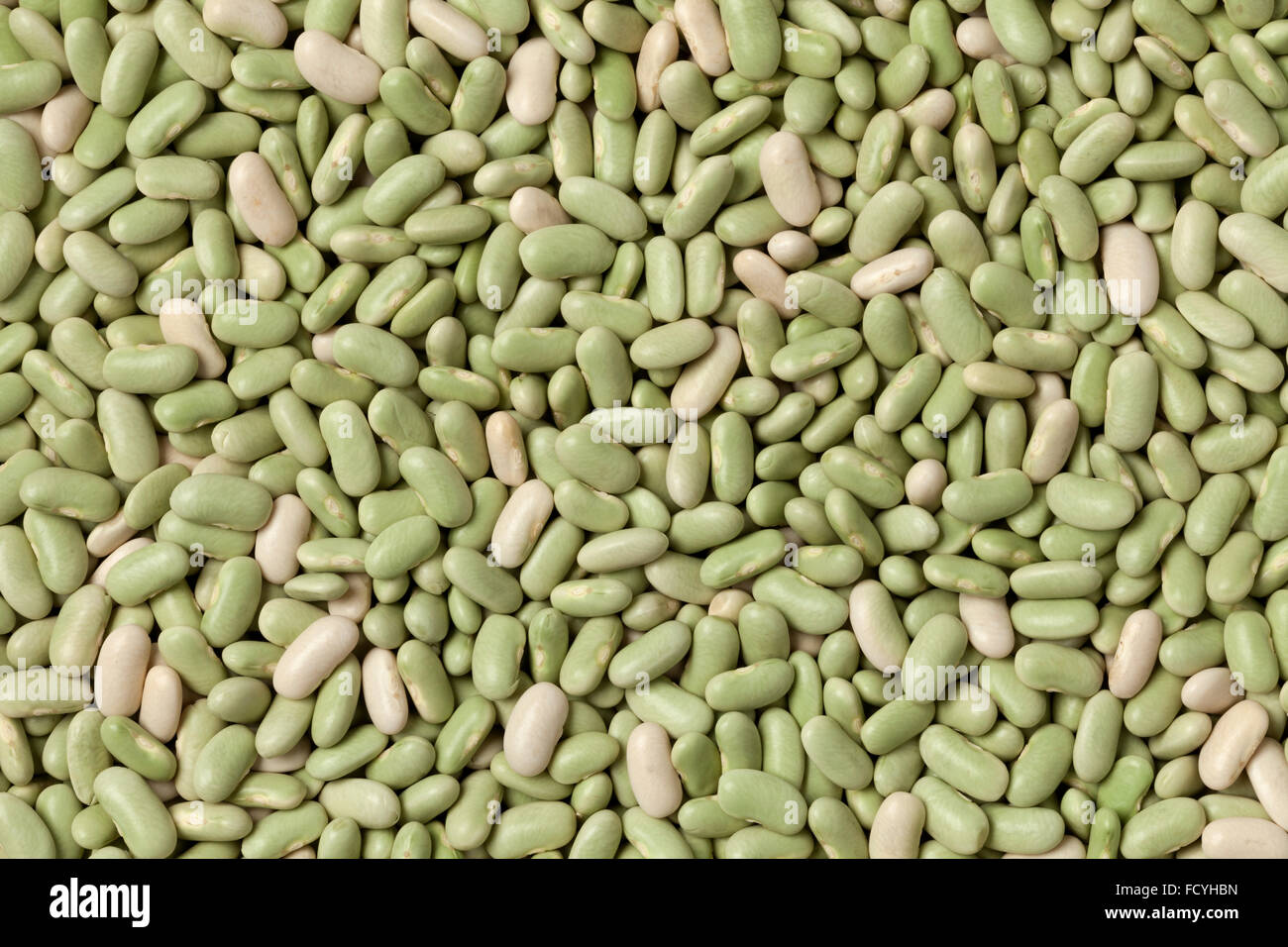 French flageolets beans full frame Stock Photo - Alamy