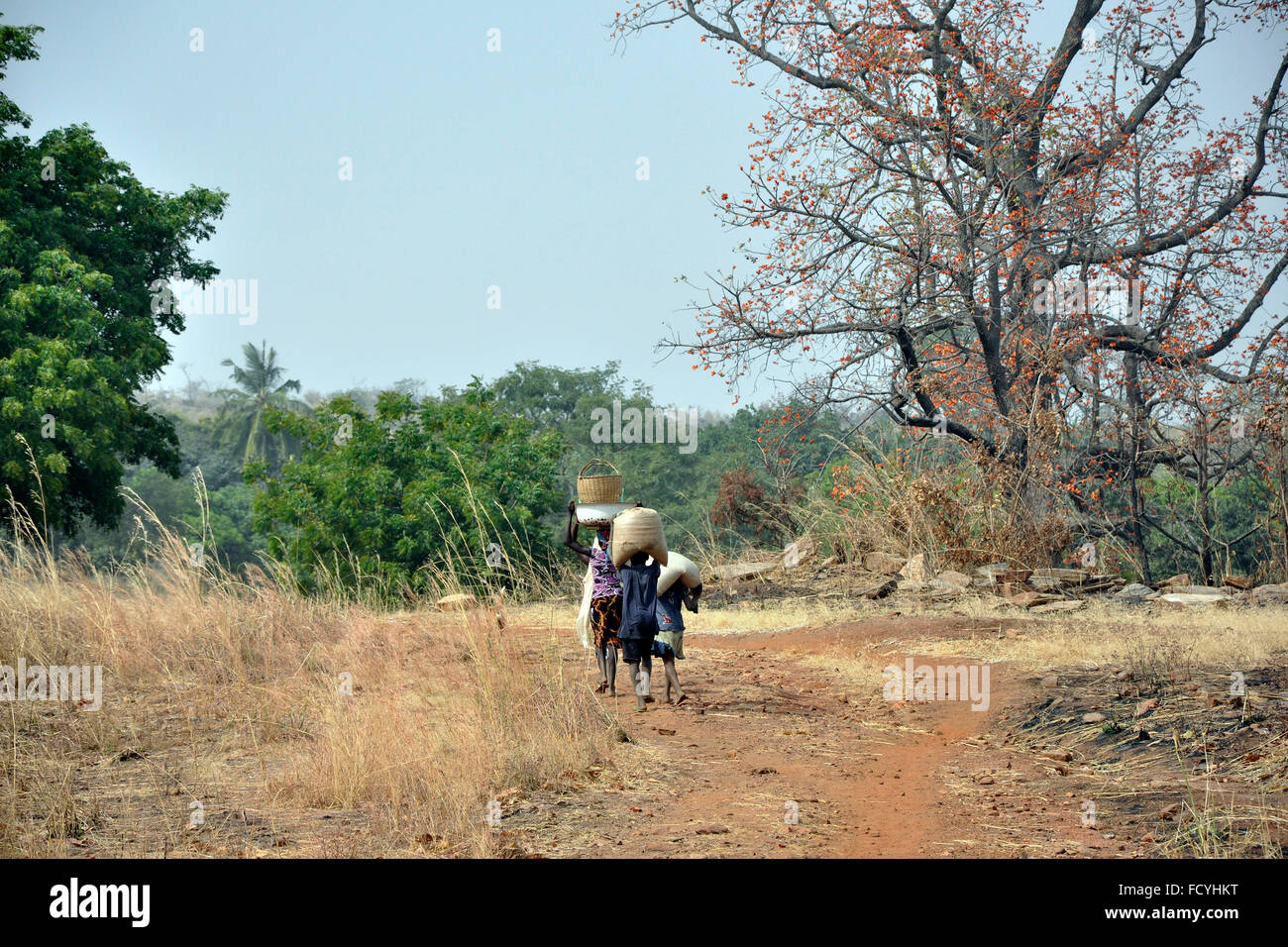 Benin, Djogou region, village Stock Photo - Alamy