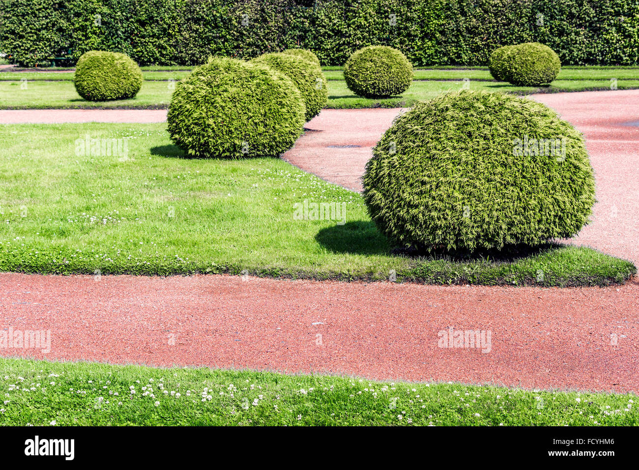 Trimmed bush hi-res stock photography and images - Alamy