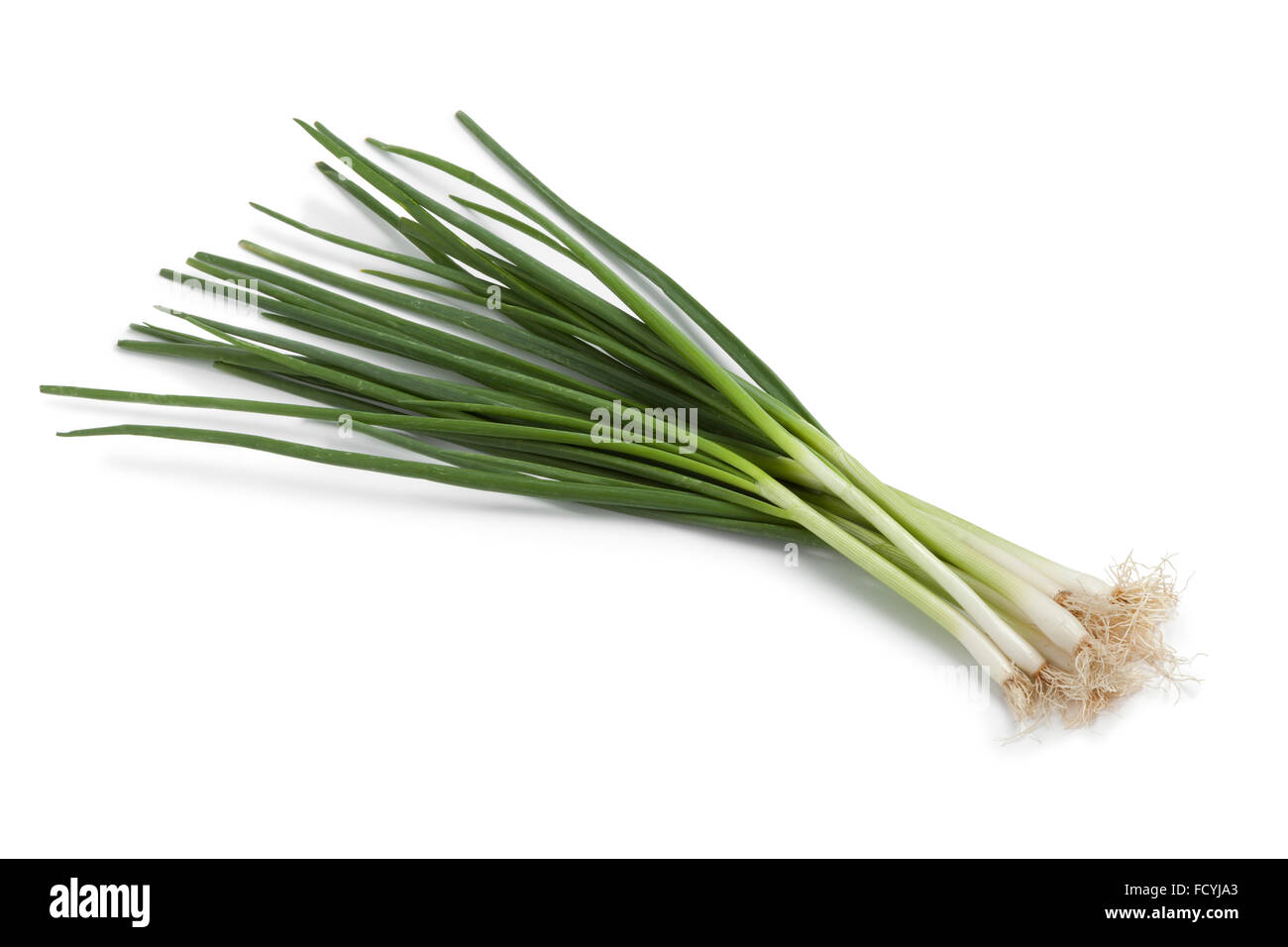 Bunch of fresh spring onions on white background Stock Photo - Alamy