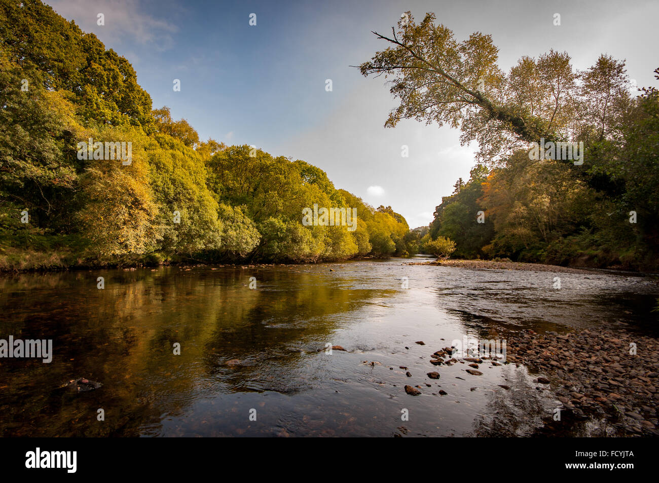 Clara ireland hi-res stock photography and images - Alamy