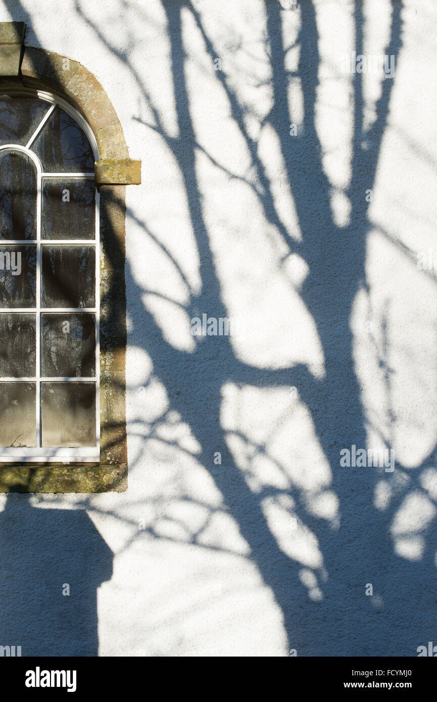 Tree shadow with sun hi-res stock photography and images - Alamy