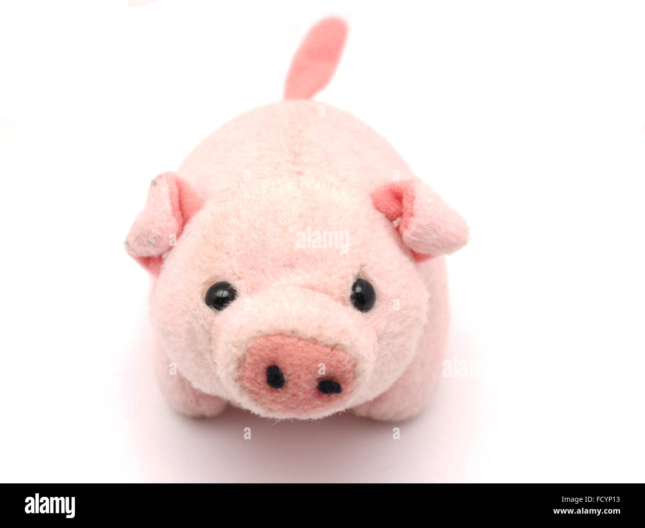 soft toy pig on a white background Stock Photo - Alamy