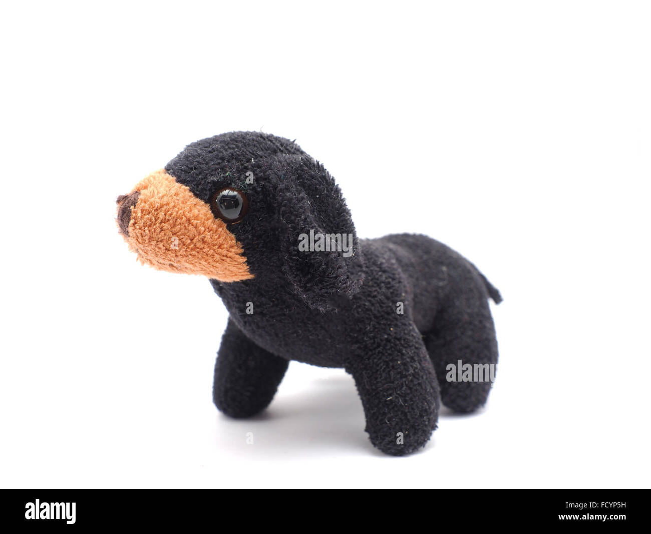soft toy dog on a white background Stock Photo - Alamy