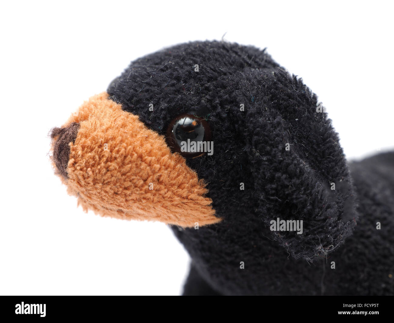 soft toy dog on a white background Stock Photo - Alamy