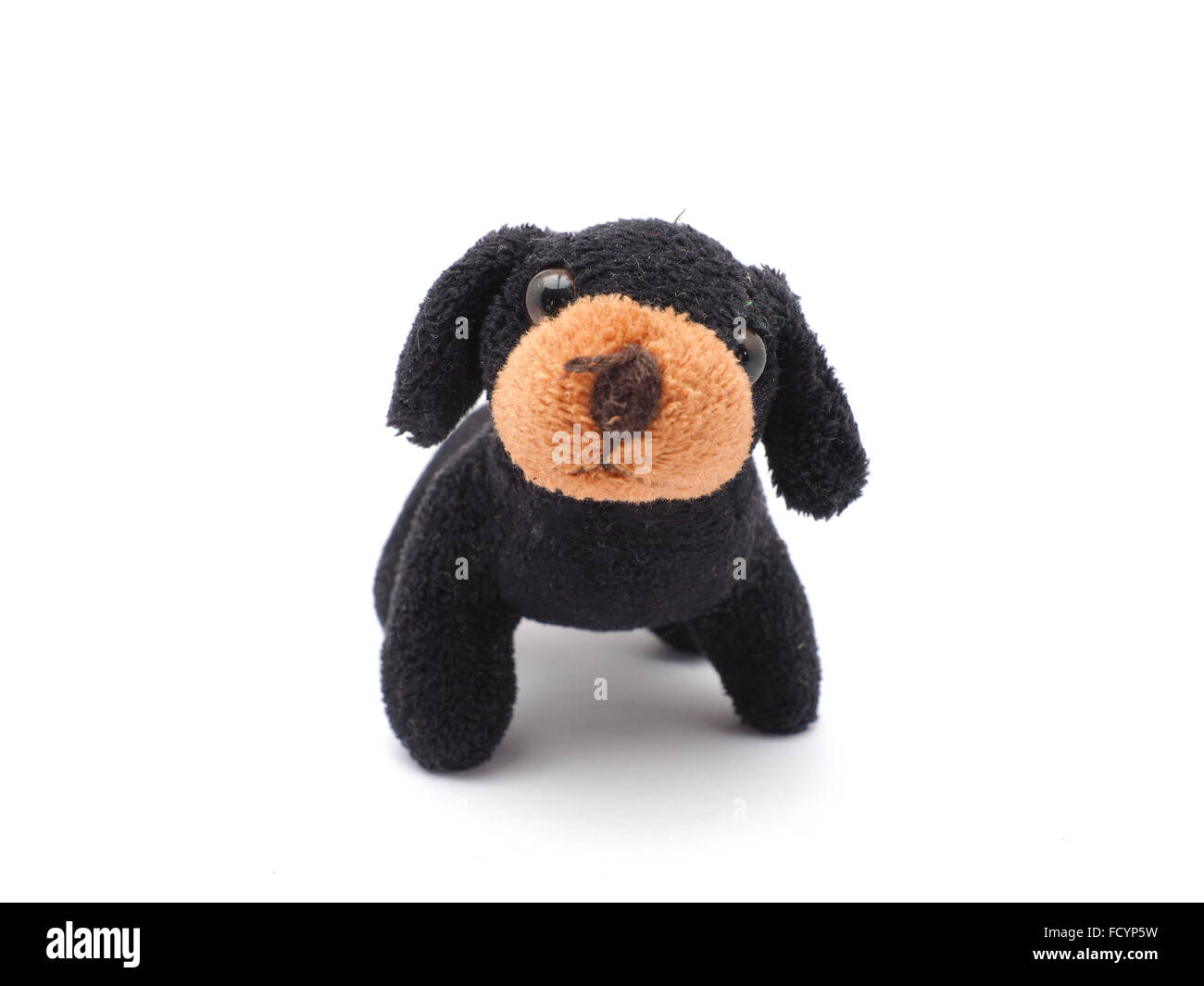 soft toy dog on a white background Stock Photo - Alamy