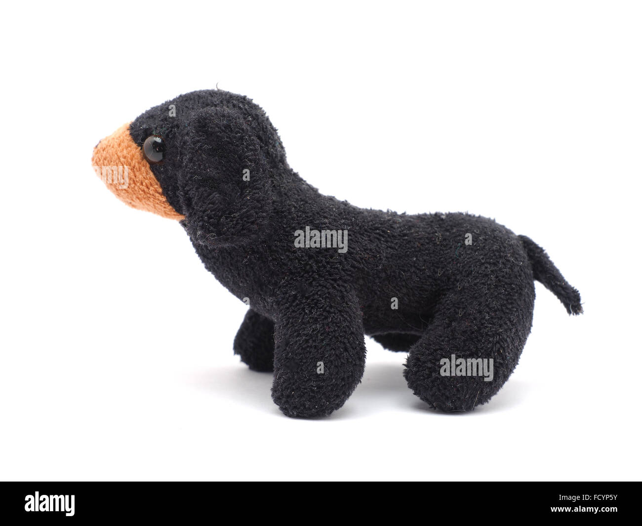 soft toy dog on a white background Stock Photo - Alamy
