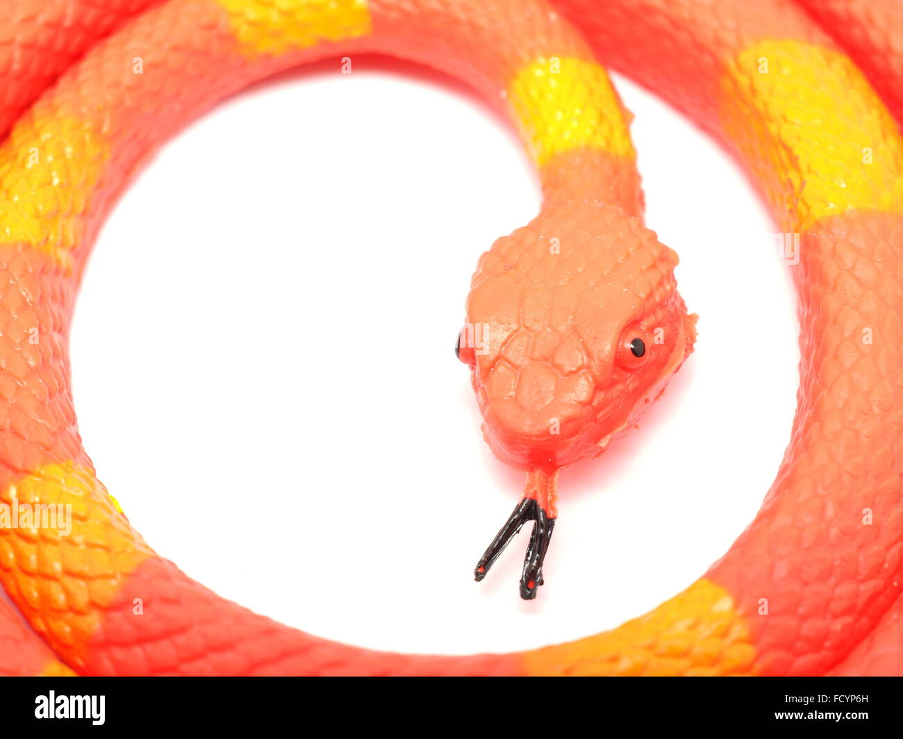 orange toy snake on a white background Stock Photo - Alamy