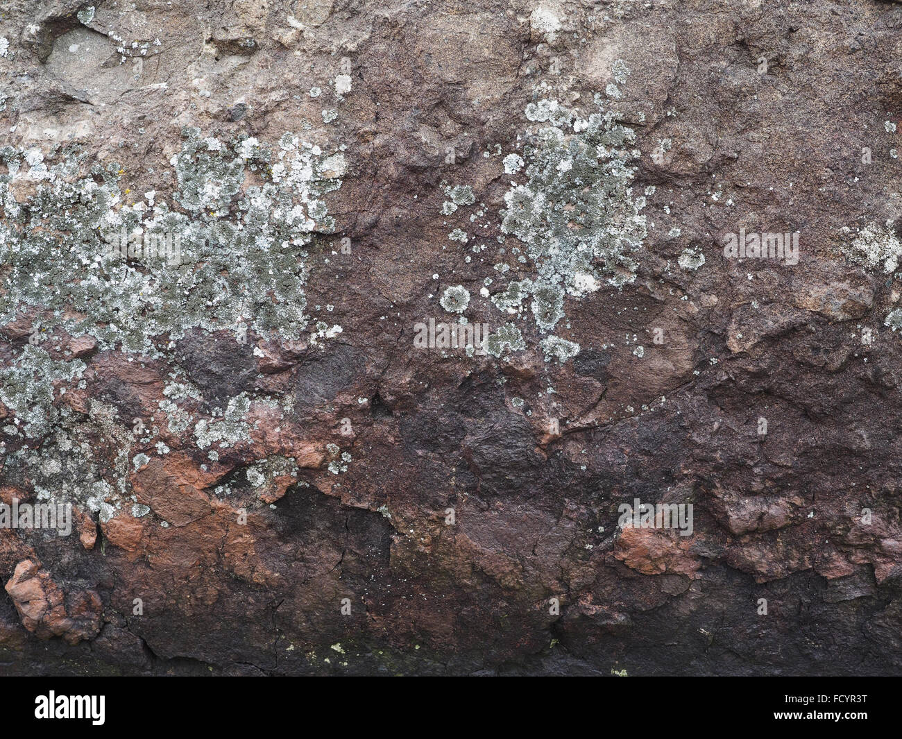 lichen on the rocks Stock Photo - Alamy