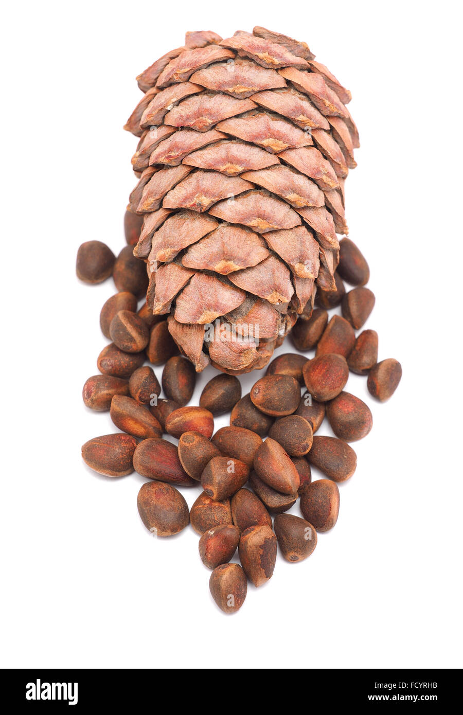 Pinus Pinea Cone Cut Out Stock Images & Pictures - Alamy
