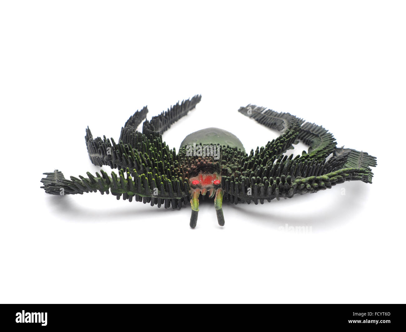 toy spider on a white background Stock Photo - Alamy