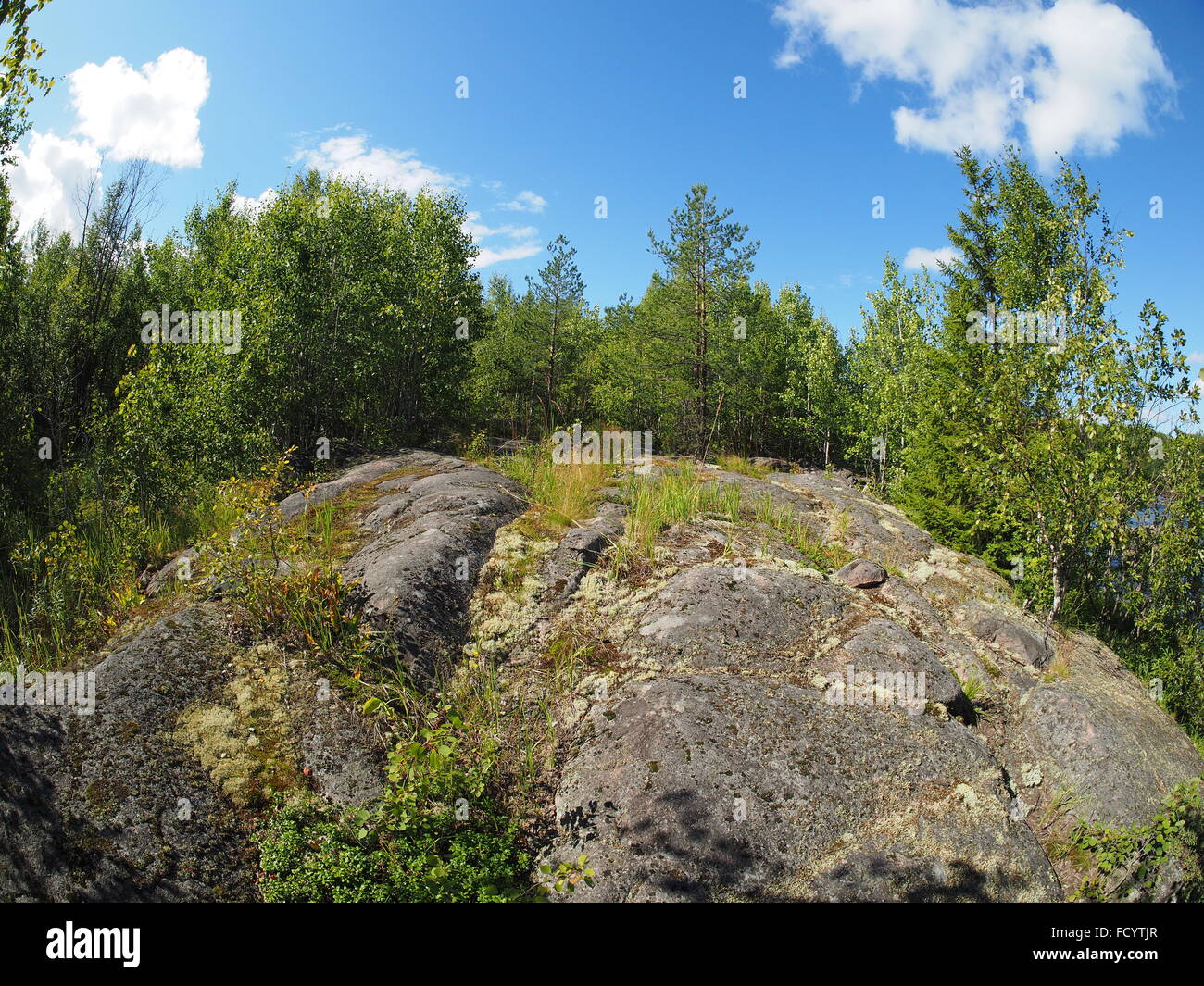 Rocks in the Forest Stock Photo - Alamy