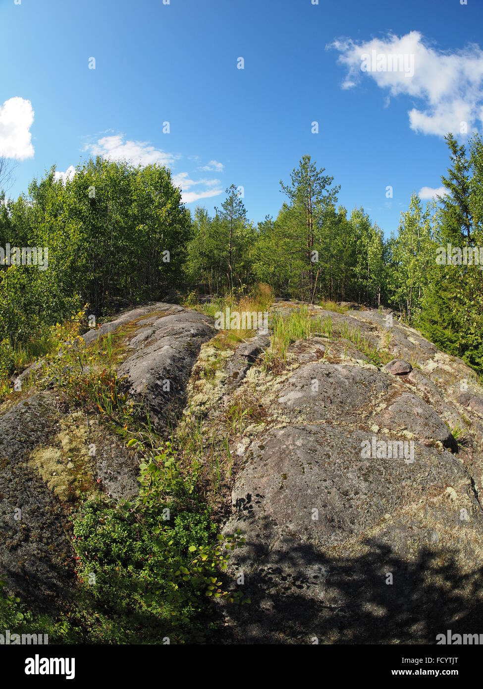 Rocks in the Forest Stock Photo - Alamy