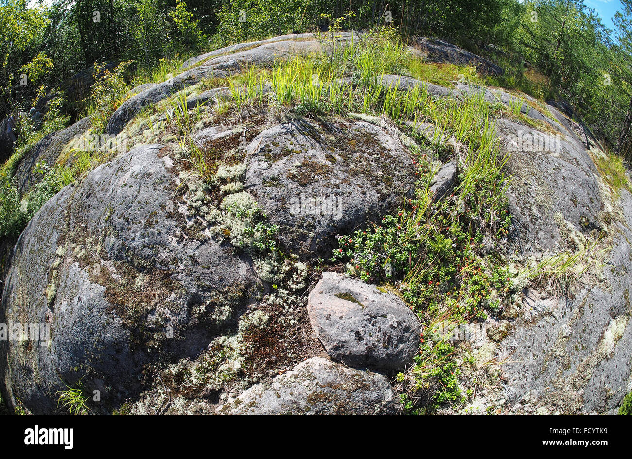 Rocks in the Forest Stock Photo - Alamy