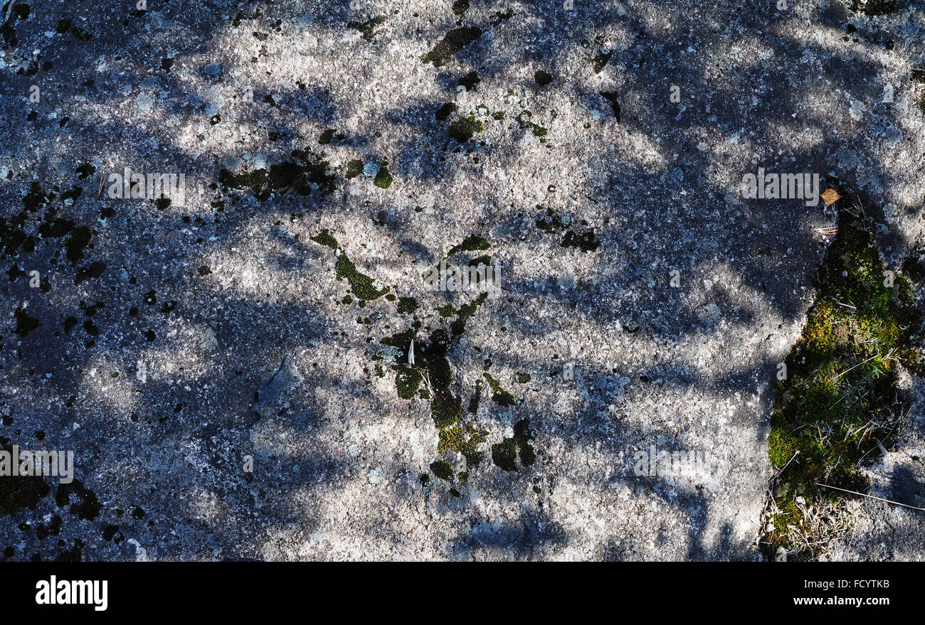 Lichen on stone Stock Photo - Alamy