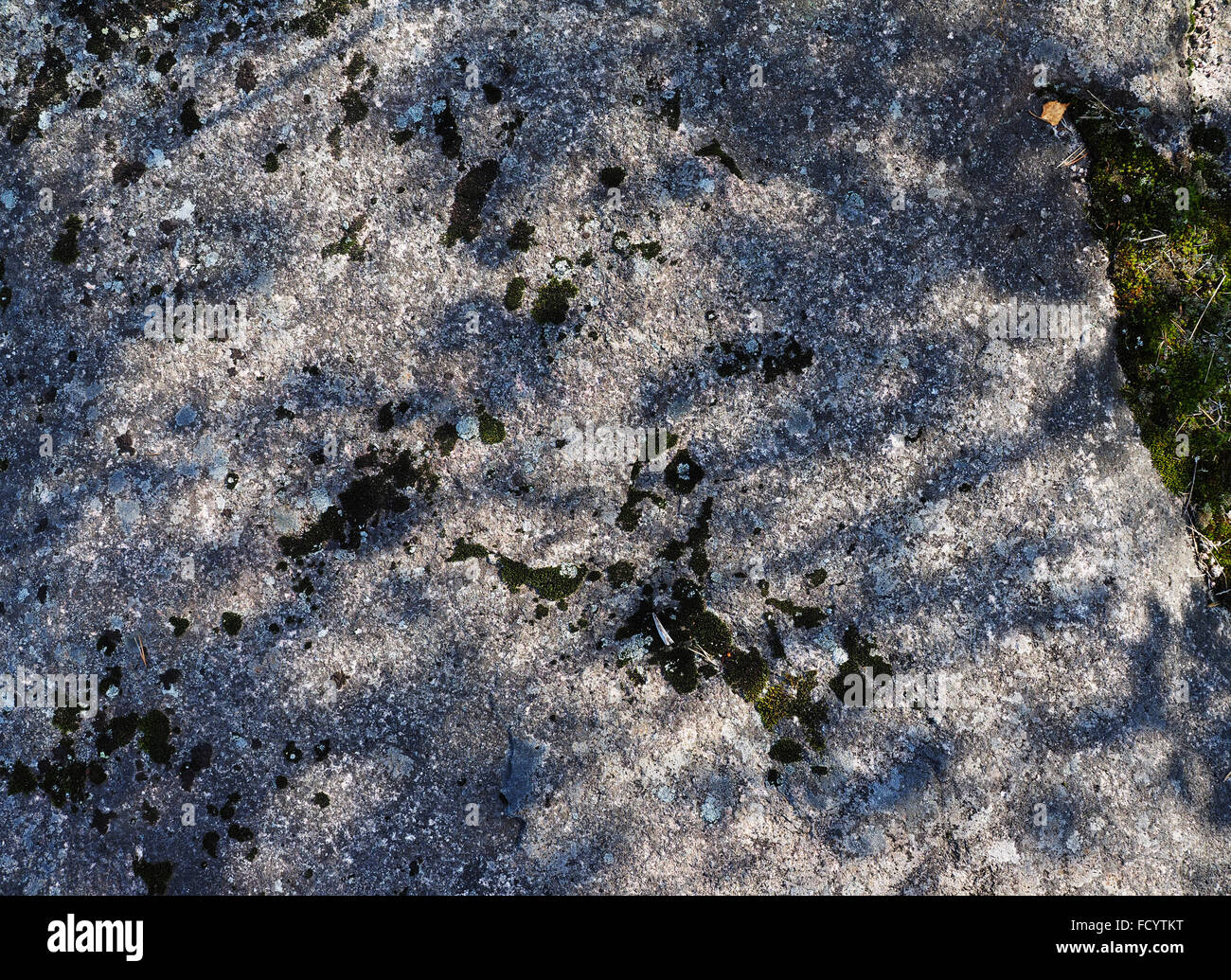 Lichen on stone Stock Photo - Alamy