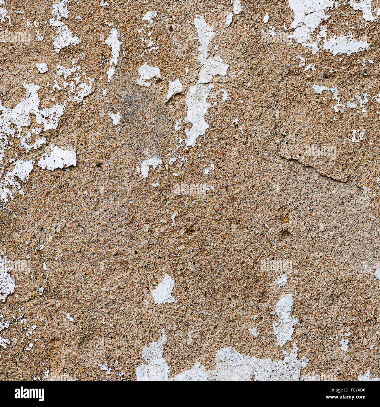 Old, grungy white background of natural plaster wall surface for texture or backgrounds. White ...