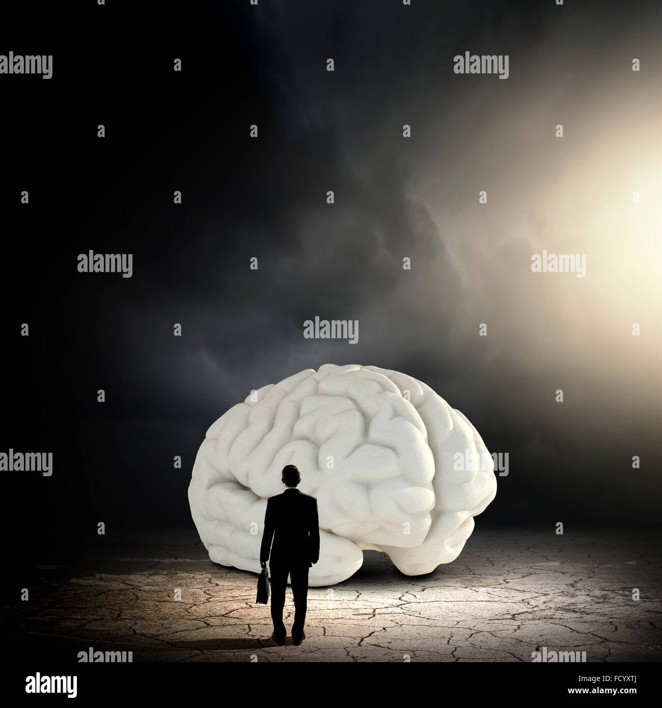 Rear view of businessman looking at big brain model Stock Photo - Alamy