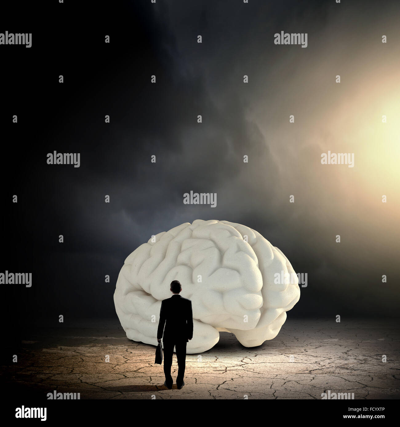 Rear view of businessman looking at big brain model Stock Photo - Alamy