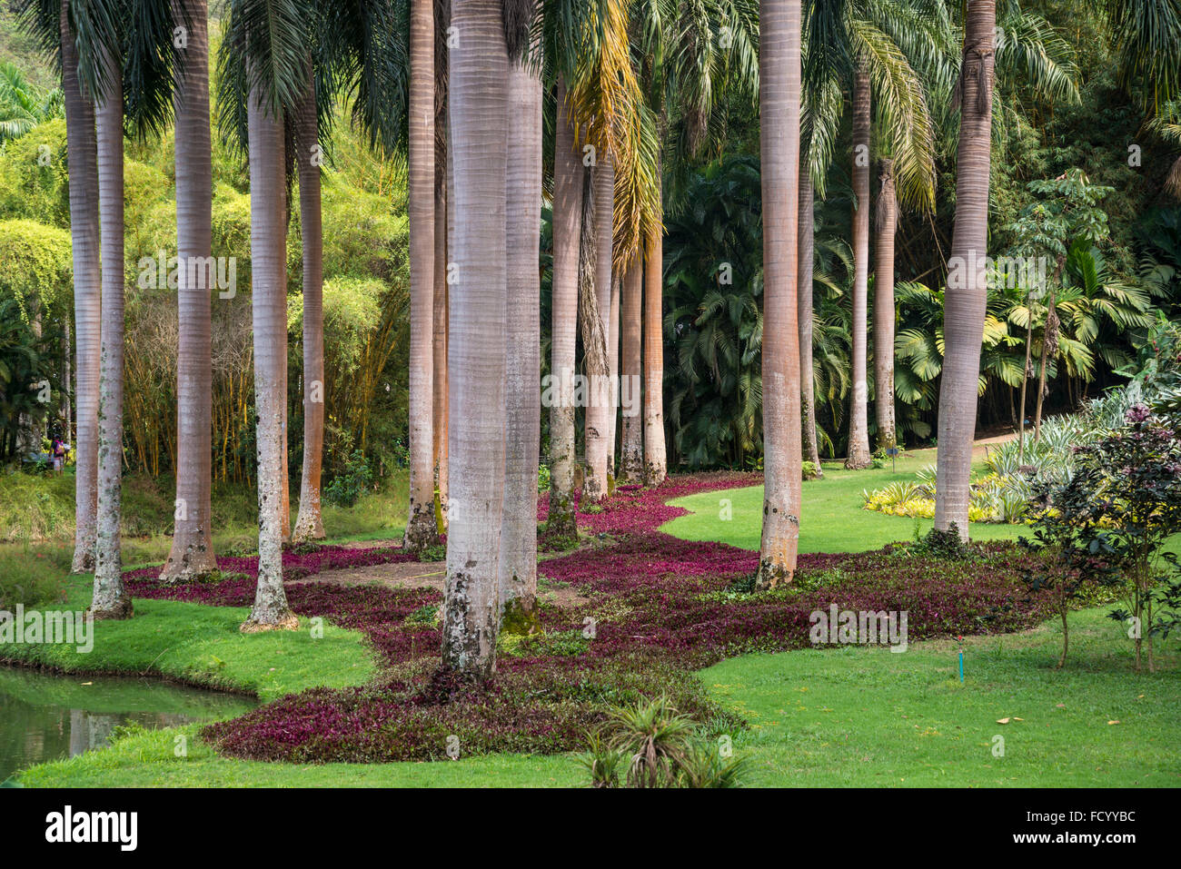 Inhotim botanical Garden and Contemporary art museum, Belo Horizonte ...