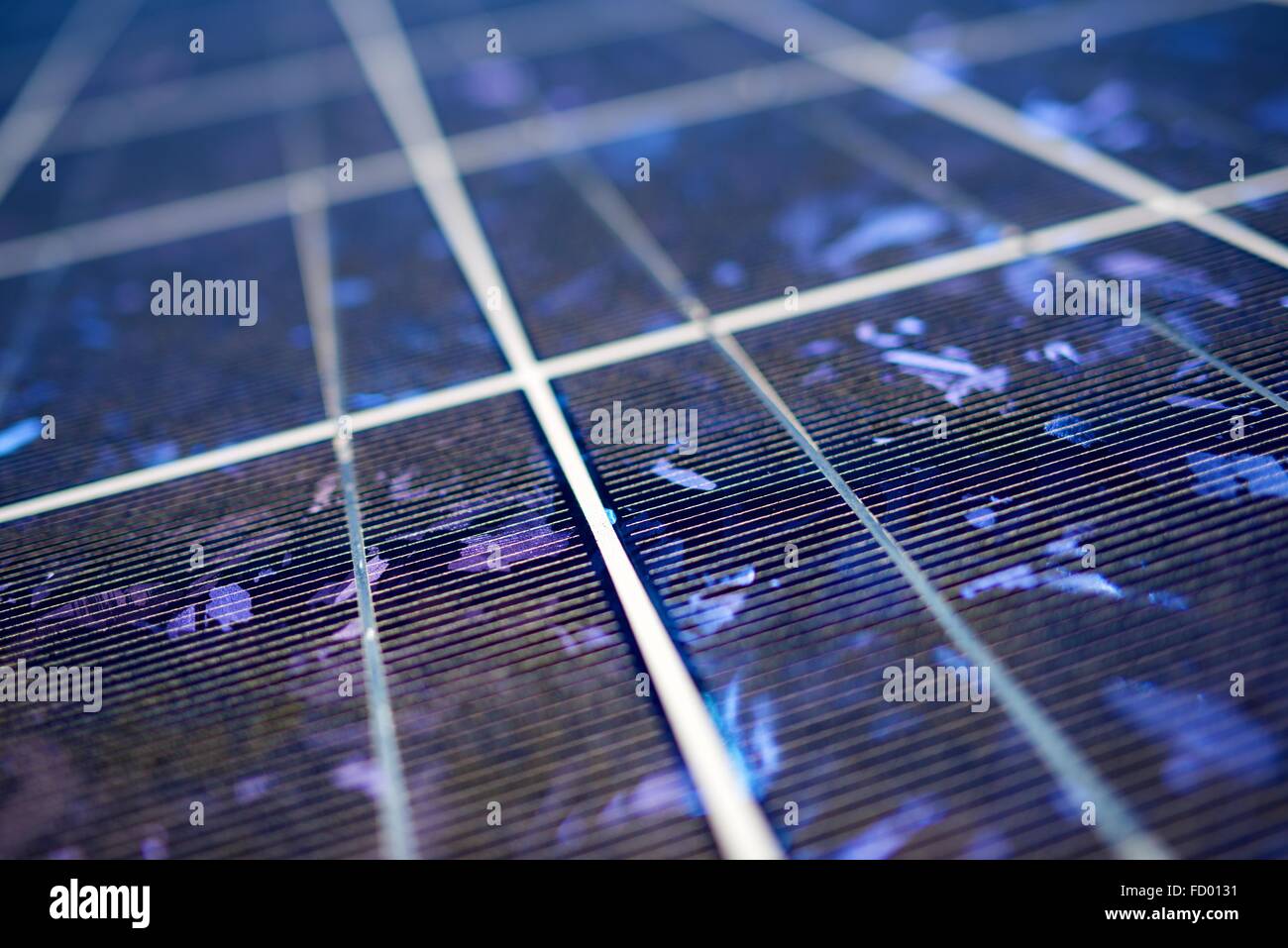 detail of a photovoltaic panel for renewable electric production Stock ...