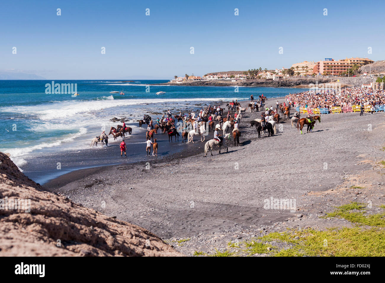 The annual ritual bathing of horses in the sea at Playa La Enramada, La Caleta, as part of the ...