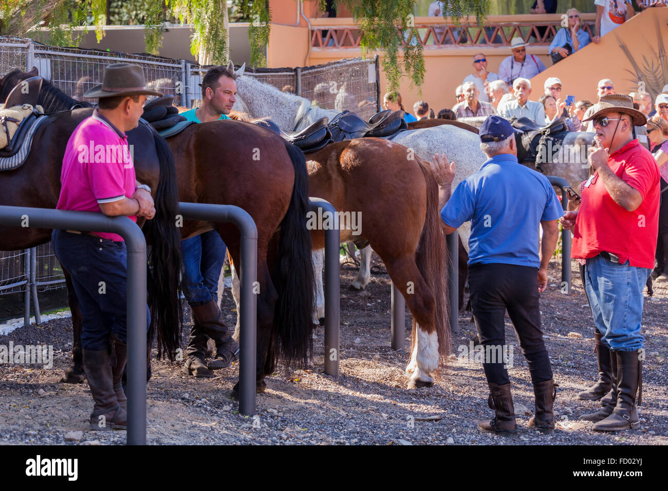 Horses in corral hi-res stock photography and images - Alamy