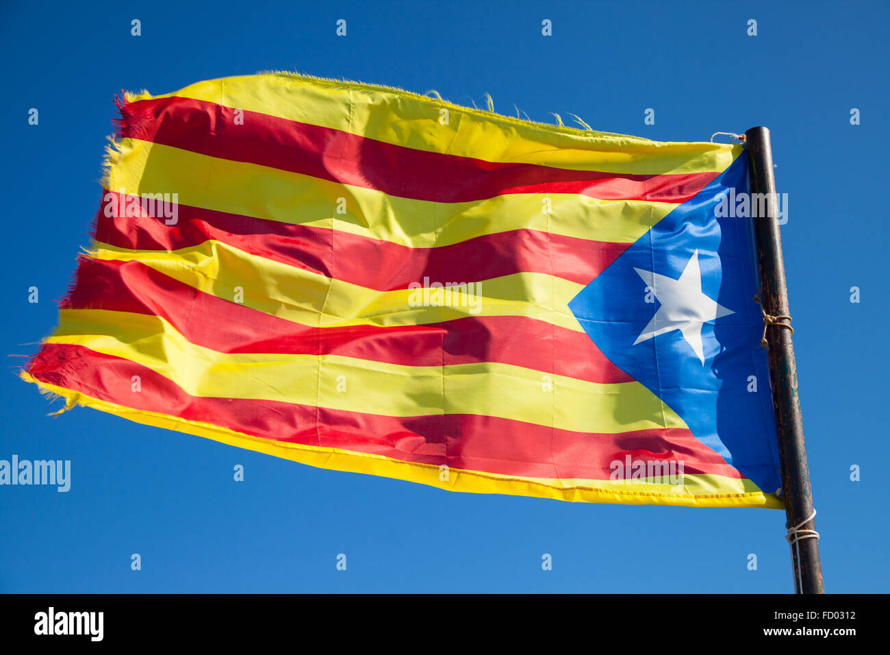 Blue estelada hi-res stock photography and images - Alamy