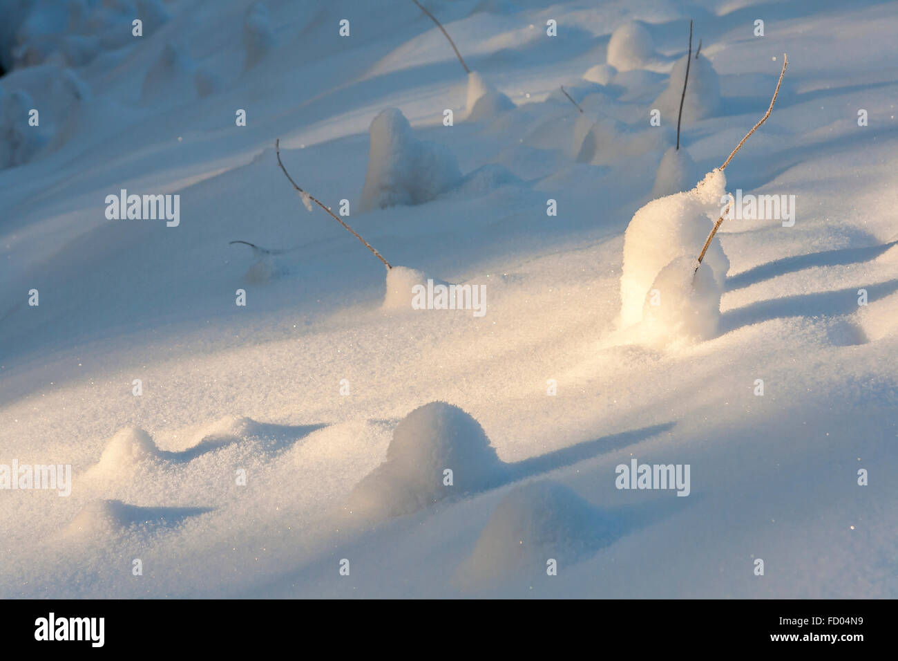 Snowy Winter Scene Stock Photo - Alamy