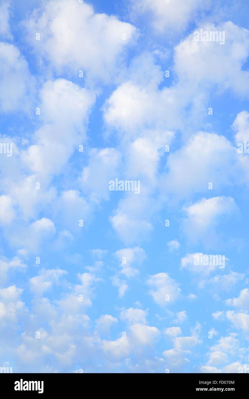 Sky with a lot of small clouds, may be used as vertical background ...