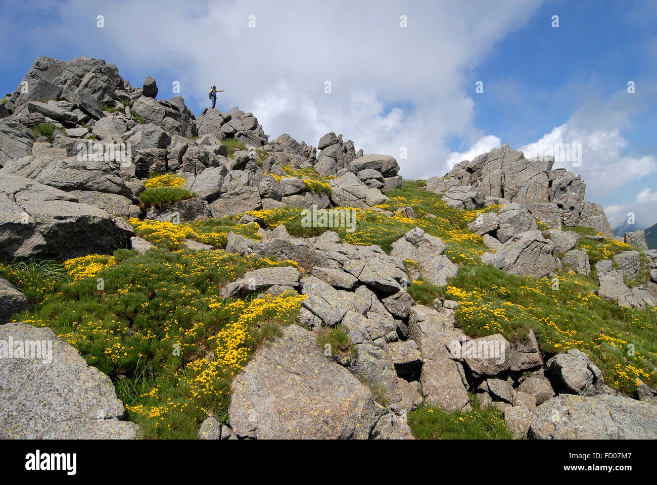 Monte aiona hi-res stock photography and images - Alamy
