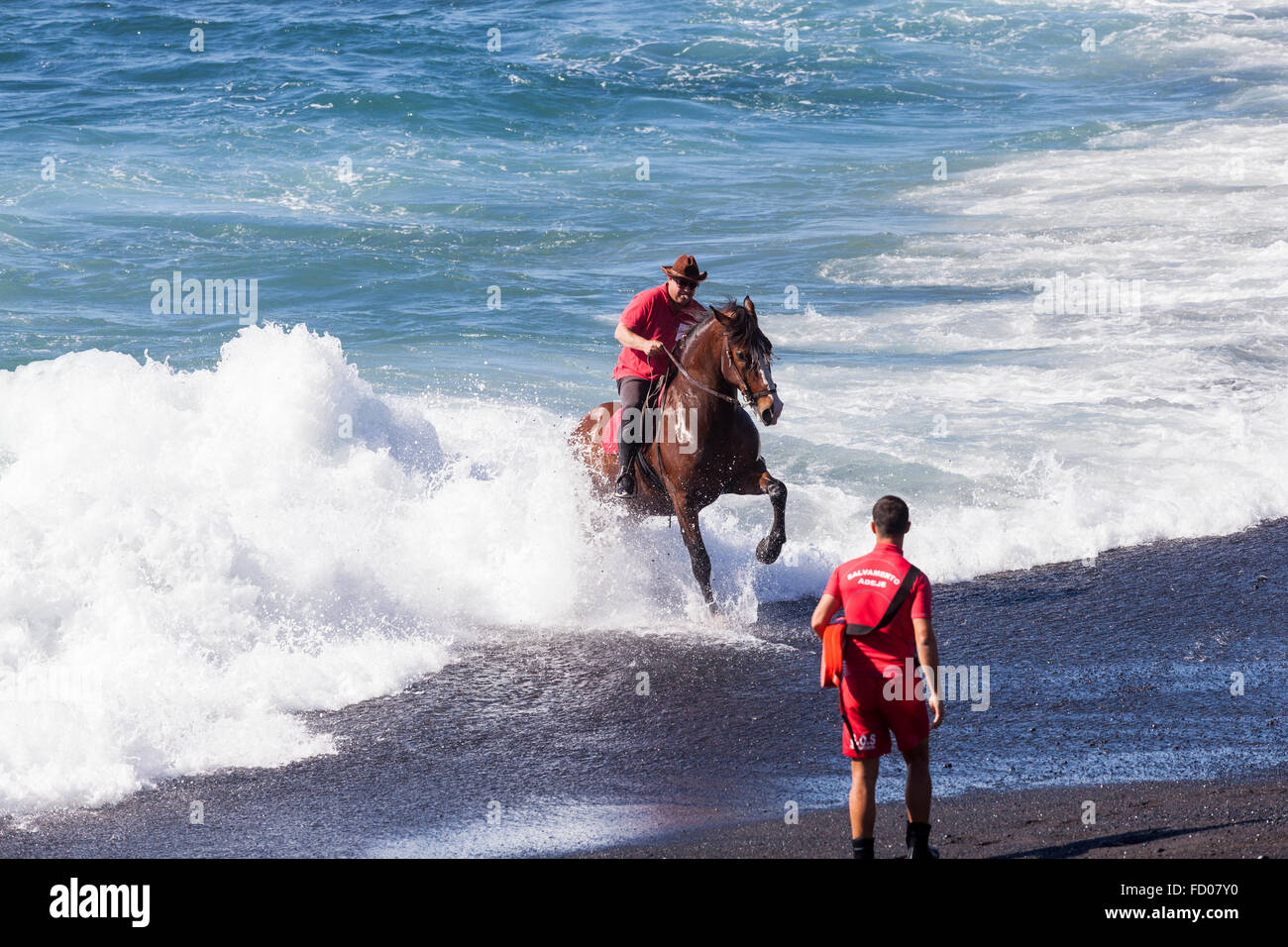 The annual ritual bathing of horses in the sea at Playa La Enramada, La Caleta, as part of the ...