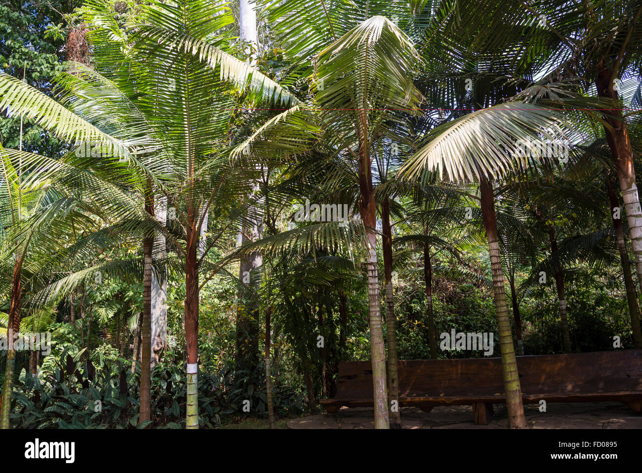 Redneck hi-res stock photography and images - Alamy