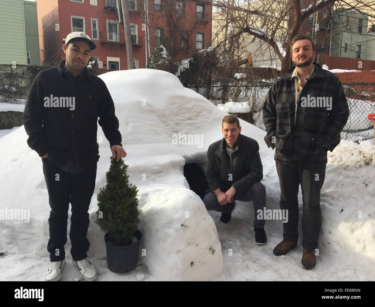 Griffin january 26 hi-res stock photography and images - Alamy