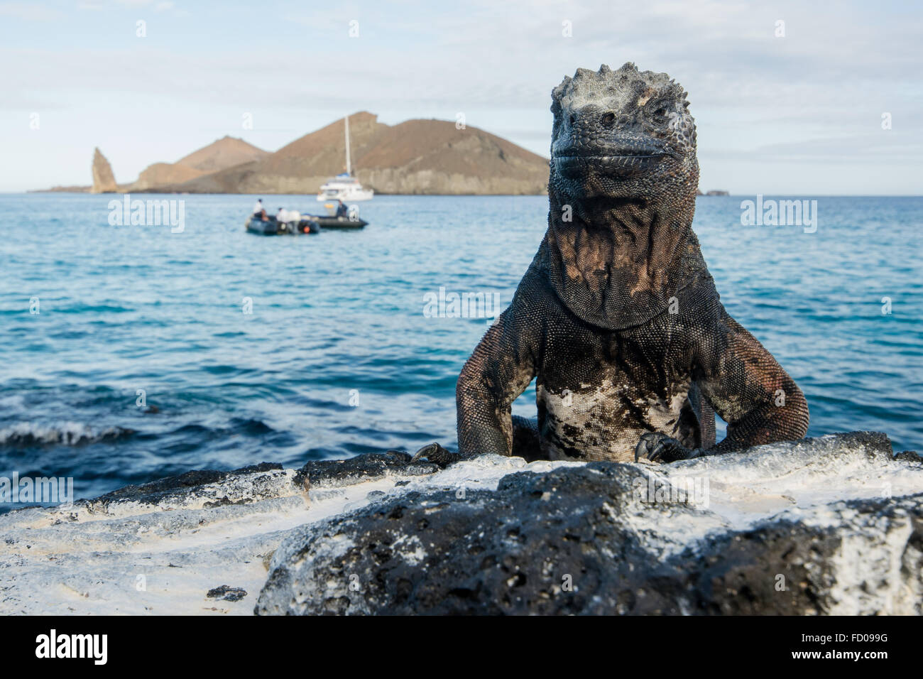 Marine biology boat hi-res stock photography and images - Alamy