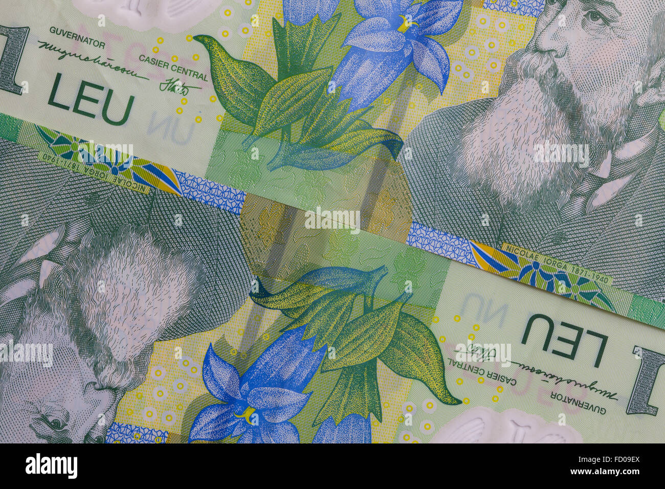 Detail of Romania Lei banknotes Stock Photo - Alamy