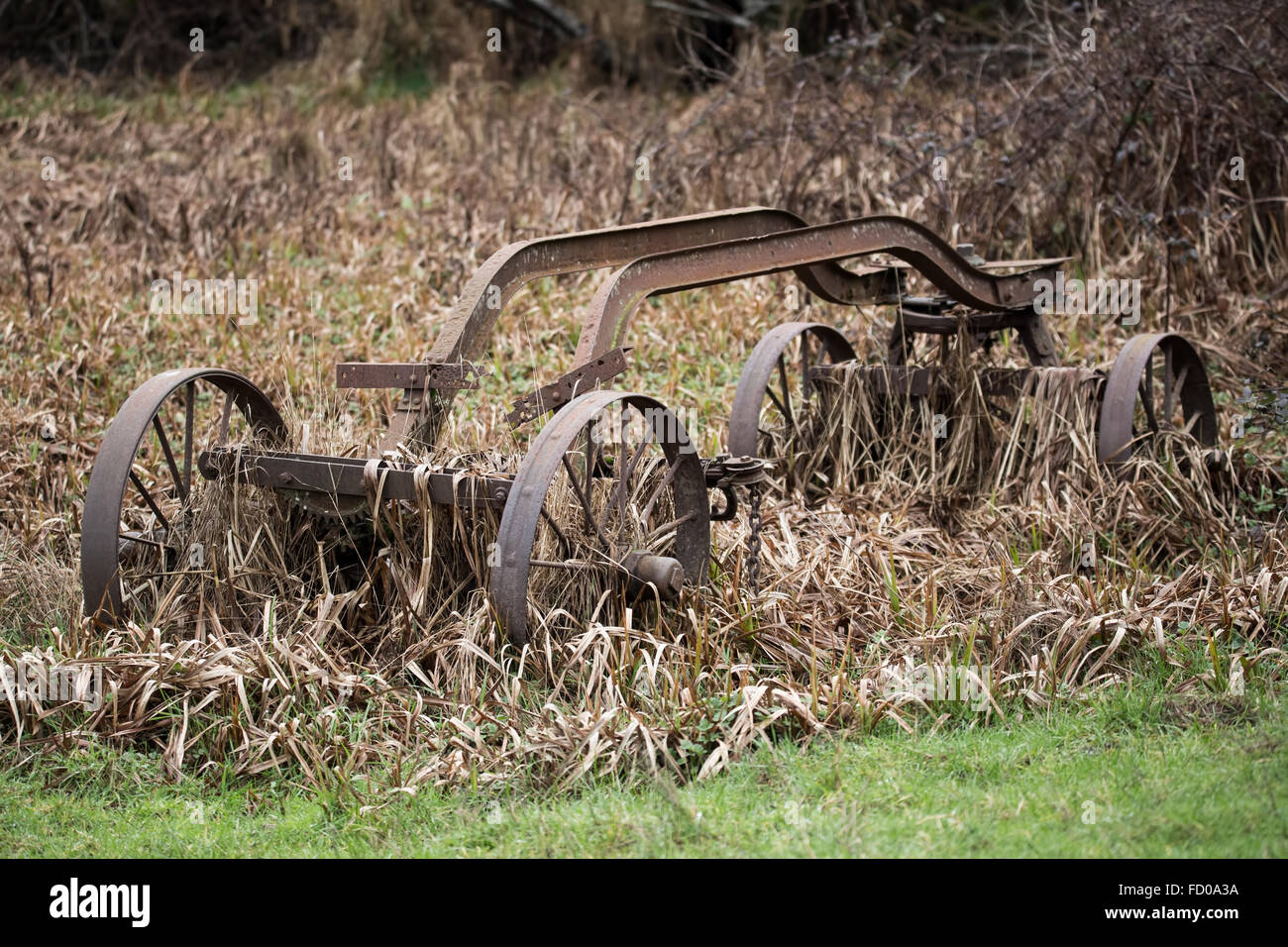 An old rusty cart overgrown with plant life Stock Photo - Alamy