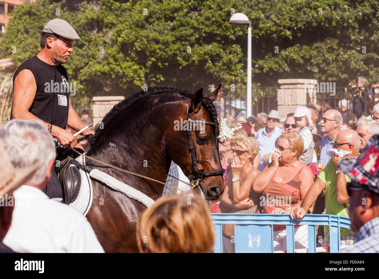 Crowd horse hi-res stock photography and images - Alamy