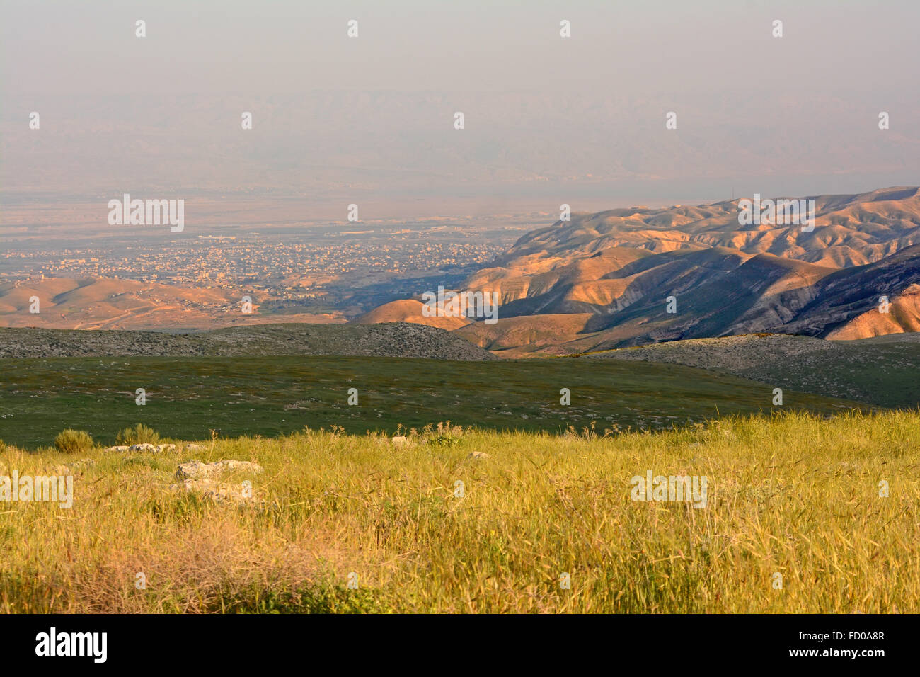 Judean desert in the spring, Israel Stock Photo - Alamy
