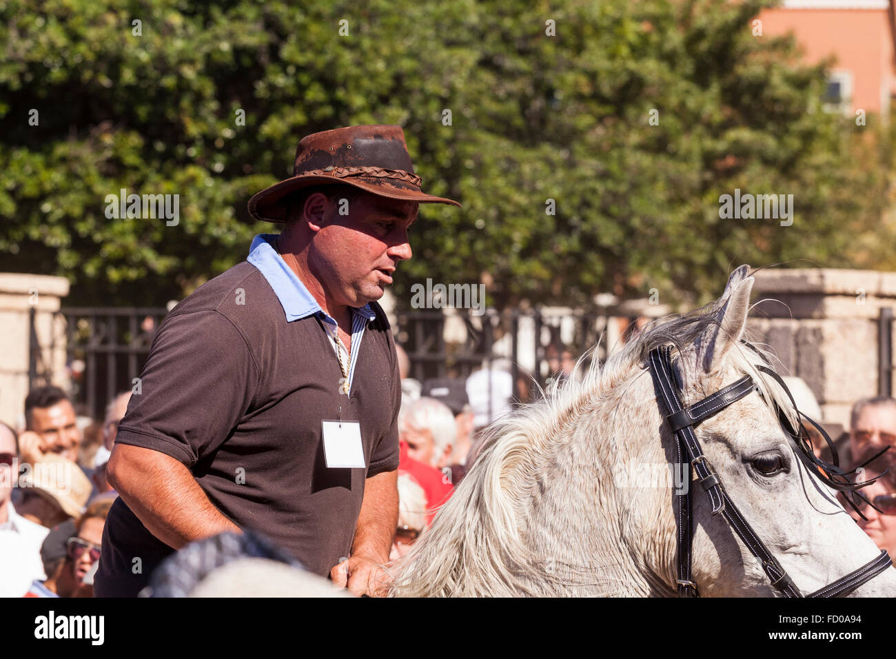 Crowd horse hi-res stock photography and images - Alamy
