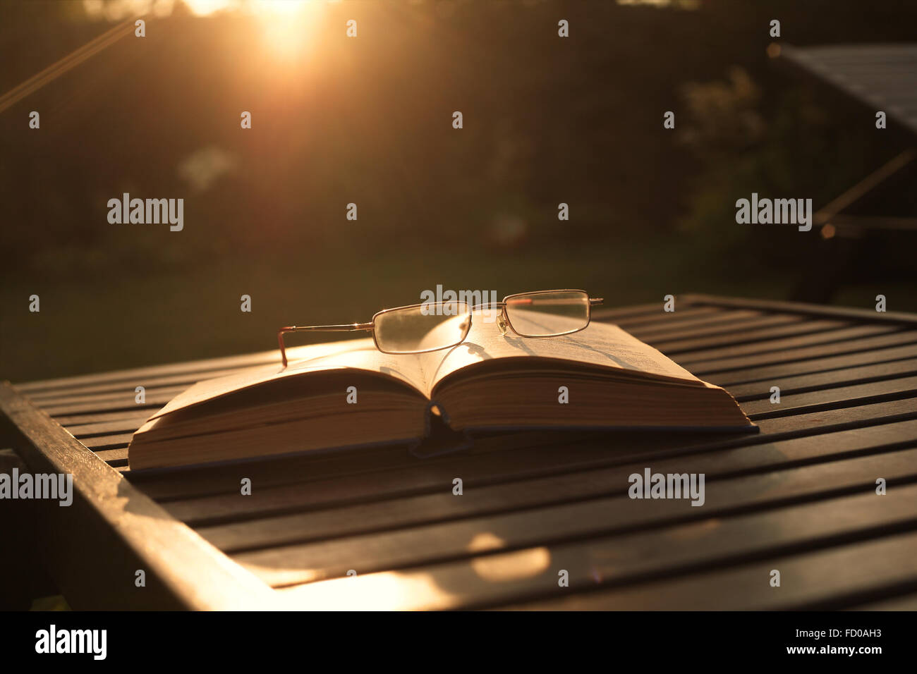 Grass in beams setting sun hi-res stock photography and images - Alamy