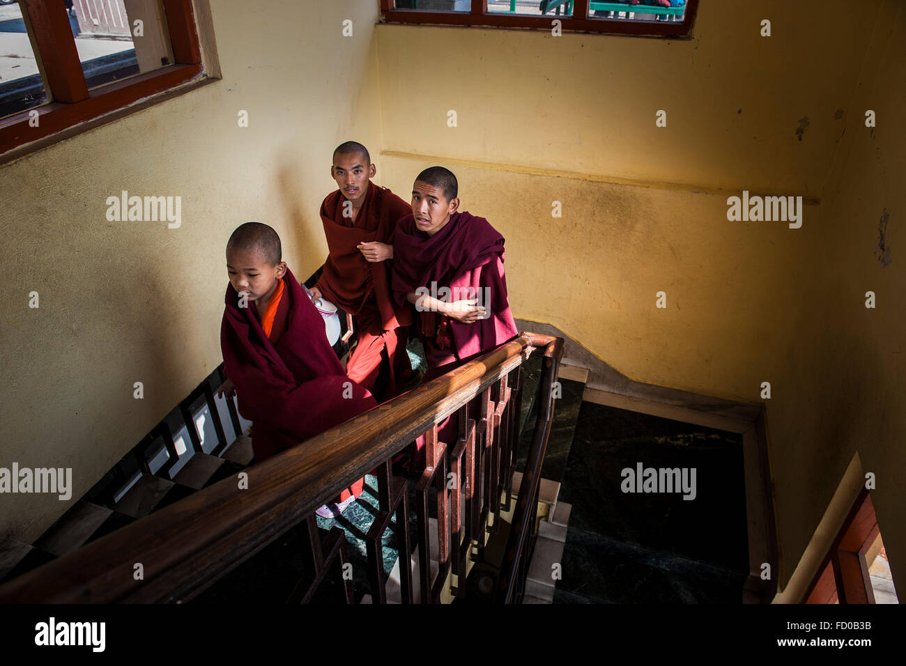 Nepal, Kopan monastery Stock Photo - Alamy