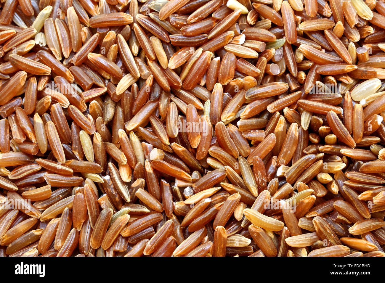 Delicious red rice photographed close up, the texture of the red rice ...