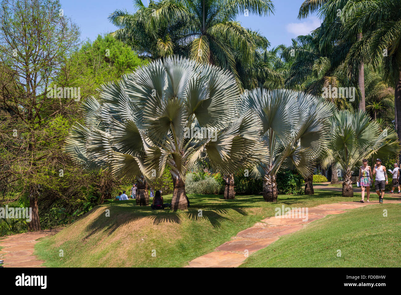 Inhotim botanical Garden and Contemporary art museum, Belo Horizonte ...