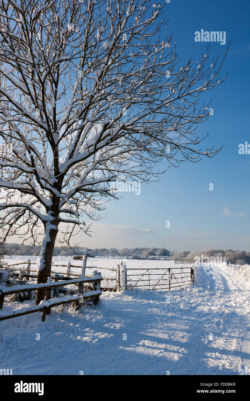 Winter scene in East Grinstead Stock Photo - Alamy