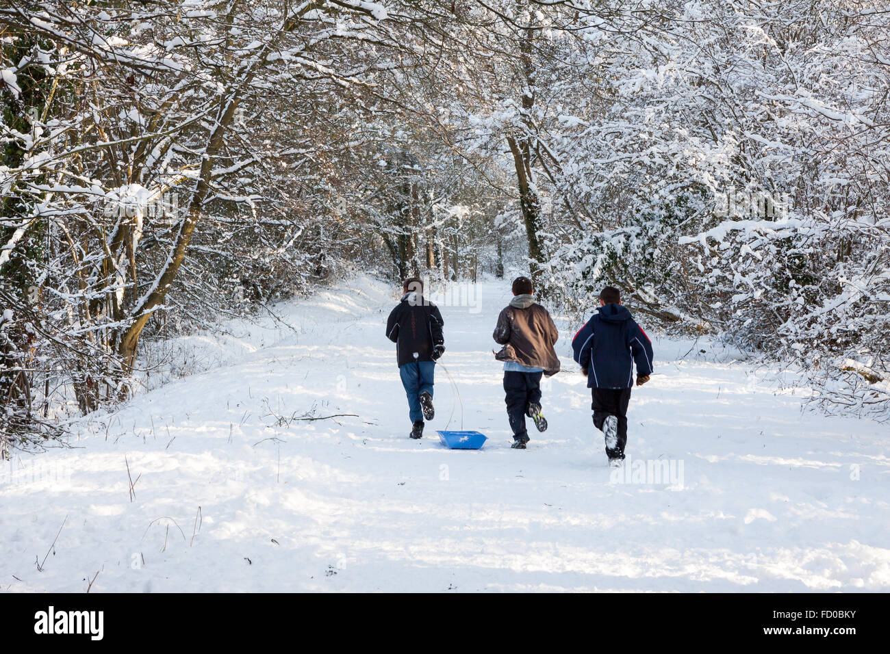 Winter scene in East Grinstead Stock Photo - Alamy